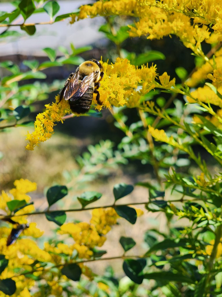 Handcrafted Signature Tea Blends by BHG | Bain Home Gardens